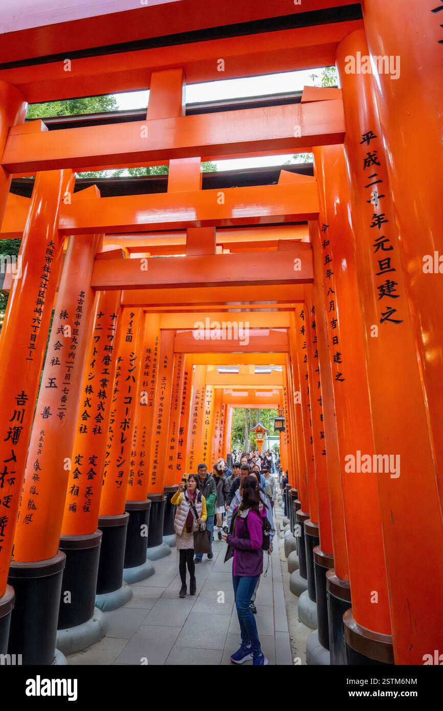 Fushimi Inari Shrine Torii Gates, Kyoto, Japan Stock Photo - Alamy