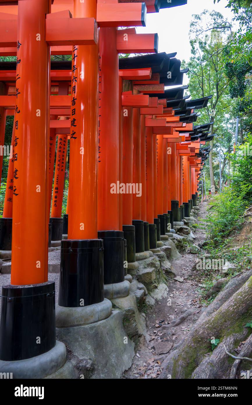 Fushimi Inari Shrine Torii Gates, Kyoto, Japan Stock Photo - Alamy