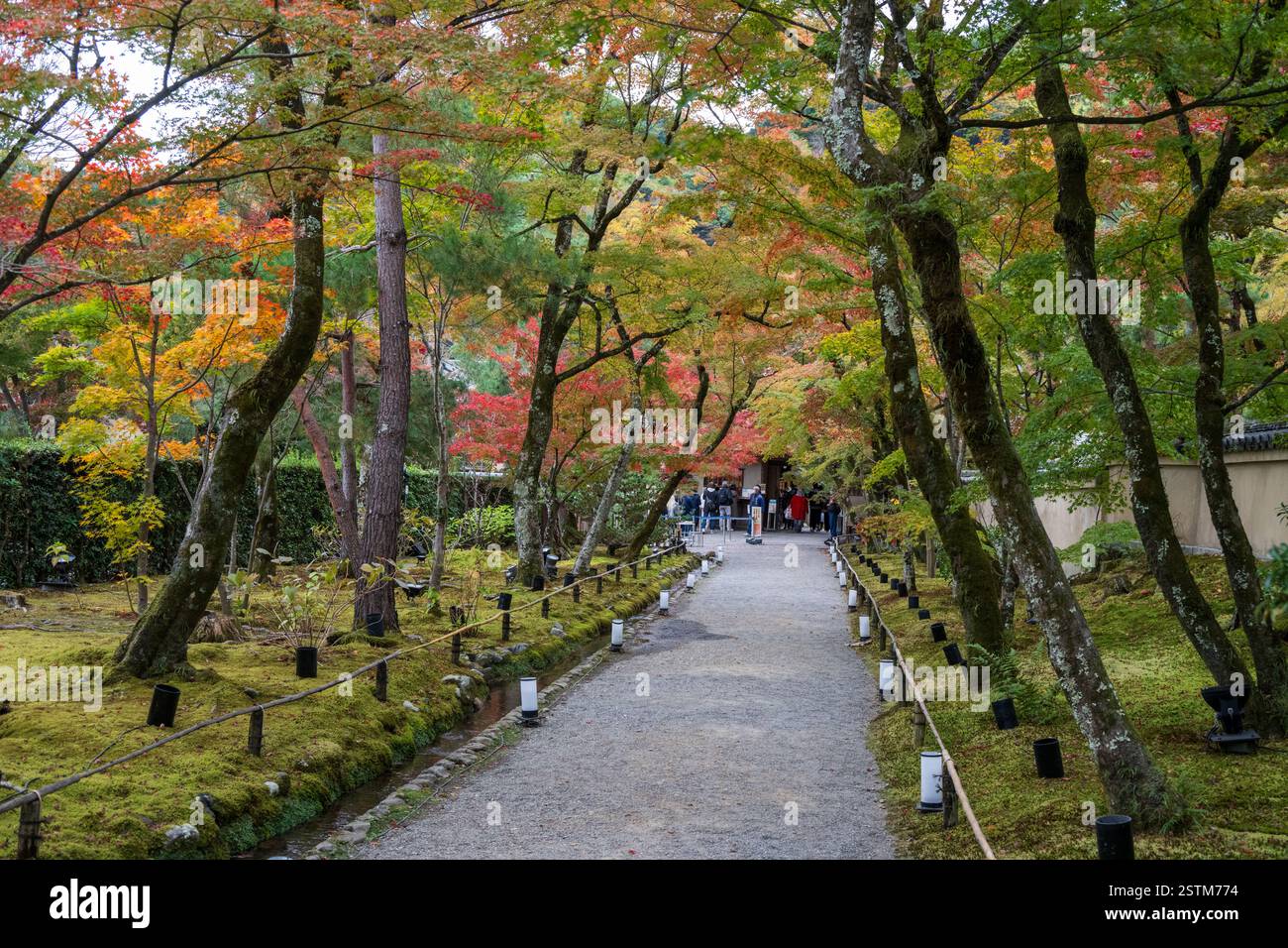 Tenryuji Temple Garden, Kyoto, Japan Stock Photo - Alamy