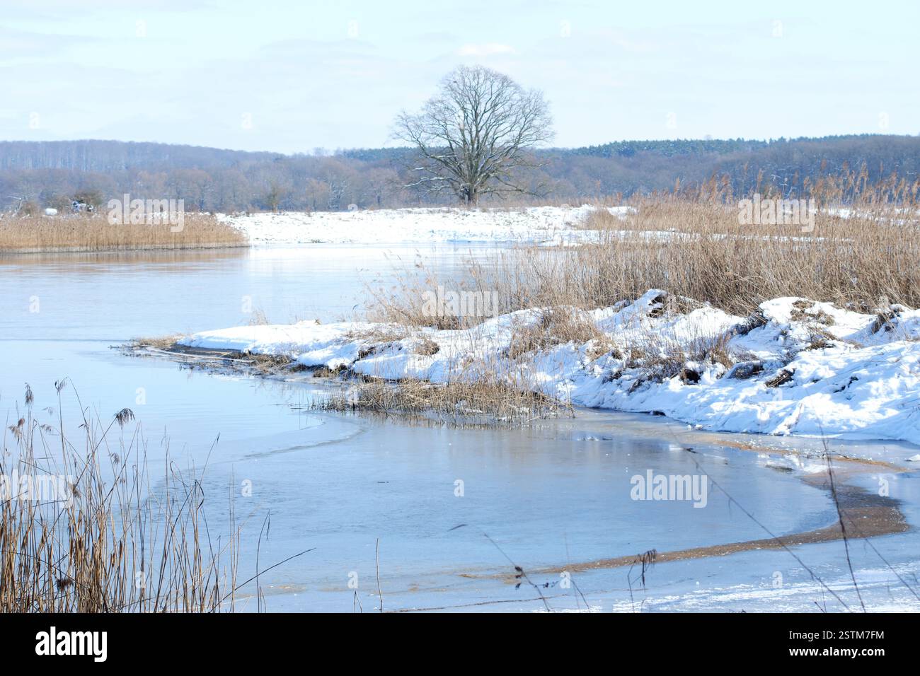 Winter landscape and River Oder at Frankfurt Oder, February 18, 2025 ...