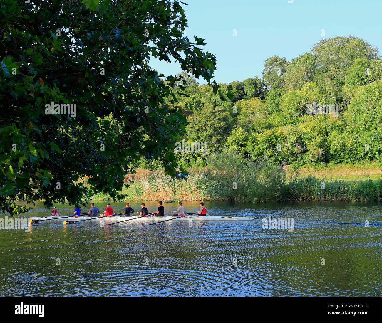 Rowing 8, River Avon at Saltford near Bath, Somerset Stock Photo - Alamy