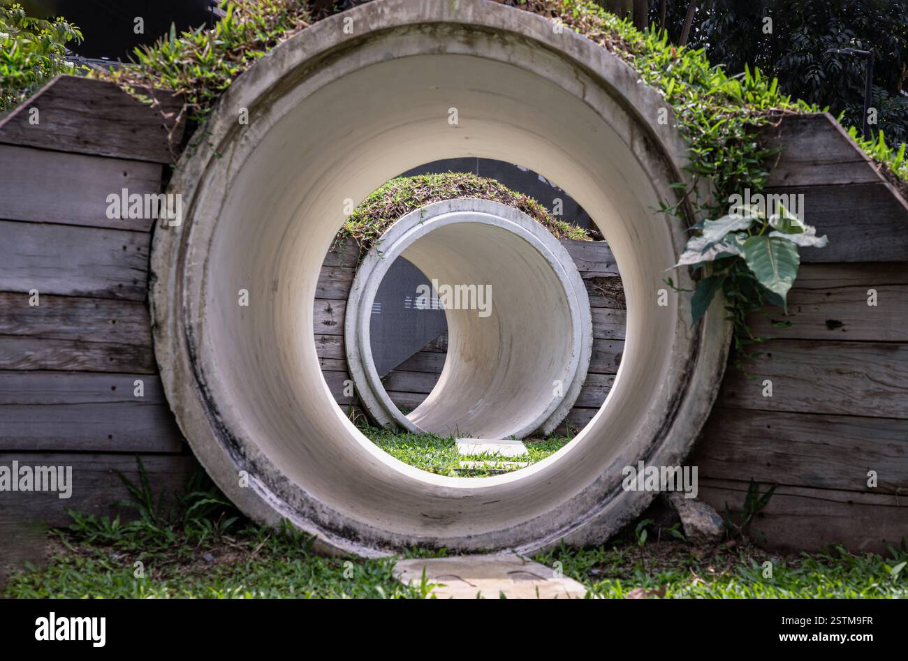 Bangkok, Thailand - Feb 19, 2025 - Park concrete tunnel made for ...