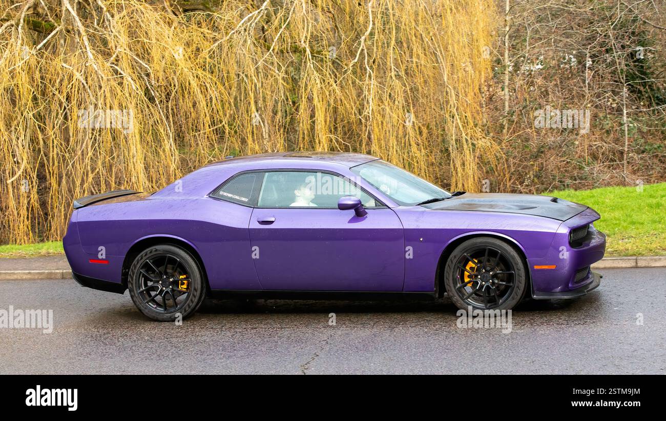Milton Keynes,UK - Feb. 16th 2025: 2015 purple Dodge Challenger car ...