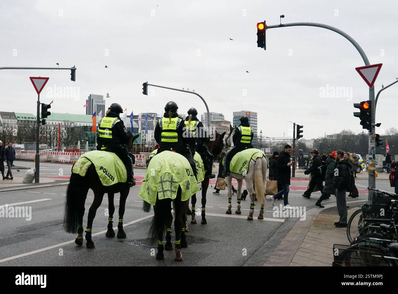 Stopp statt Galopp auf der Strasse. Eine rote Ampel gilt auch für die ...
