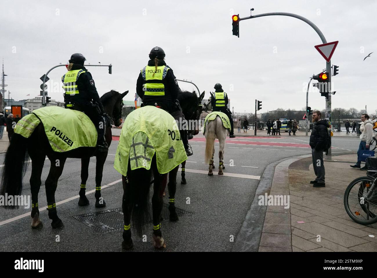 Stopp statt Galopp auf der Strasse. Eine rote Ampel gilt auch für die ...