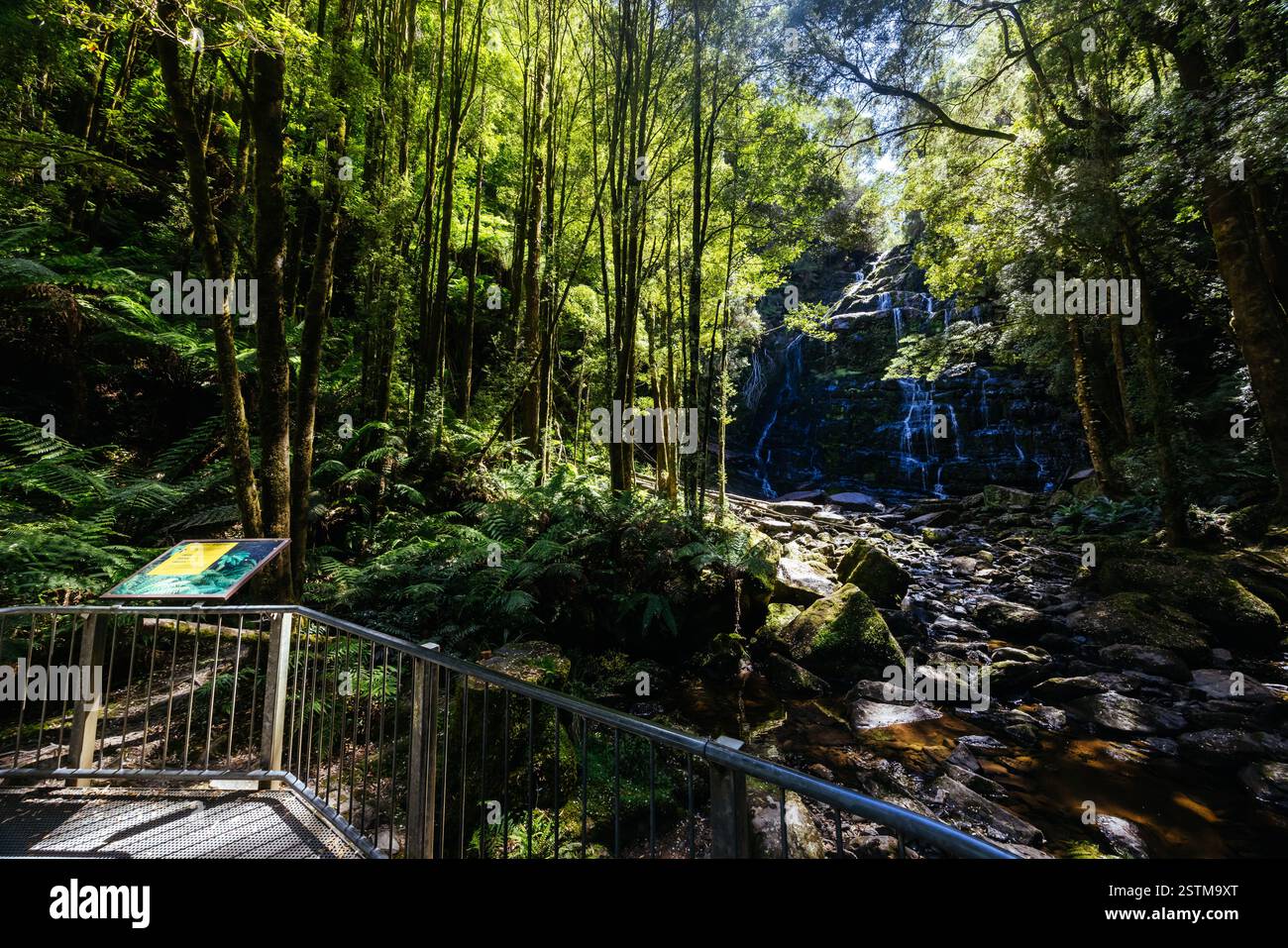 Nelson Falls in Franklin-Gordon Wild Rivers National Park Tasmania ...