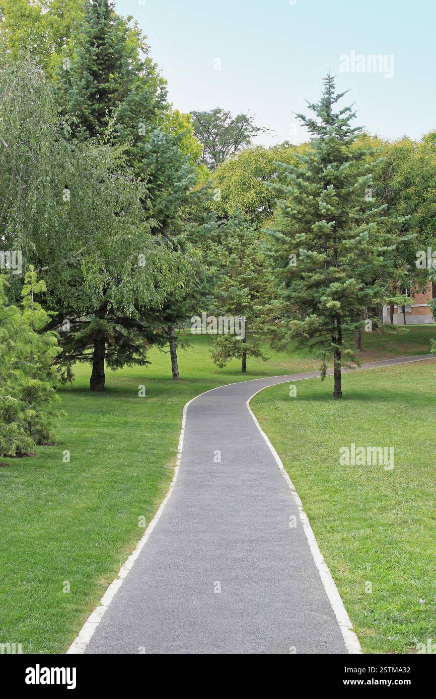 City path trees hi-res stock photography and images - Alamy