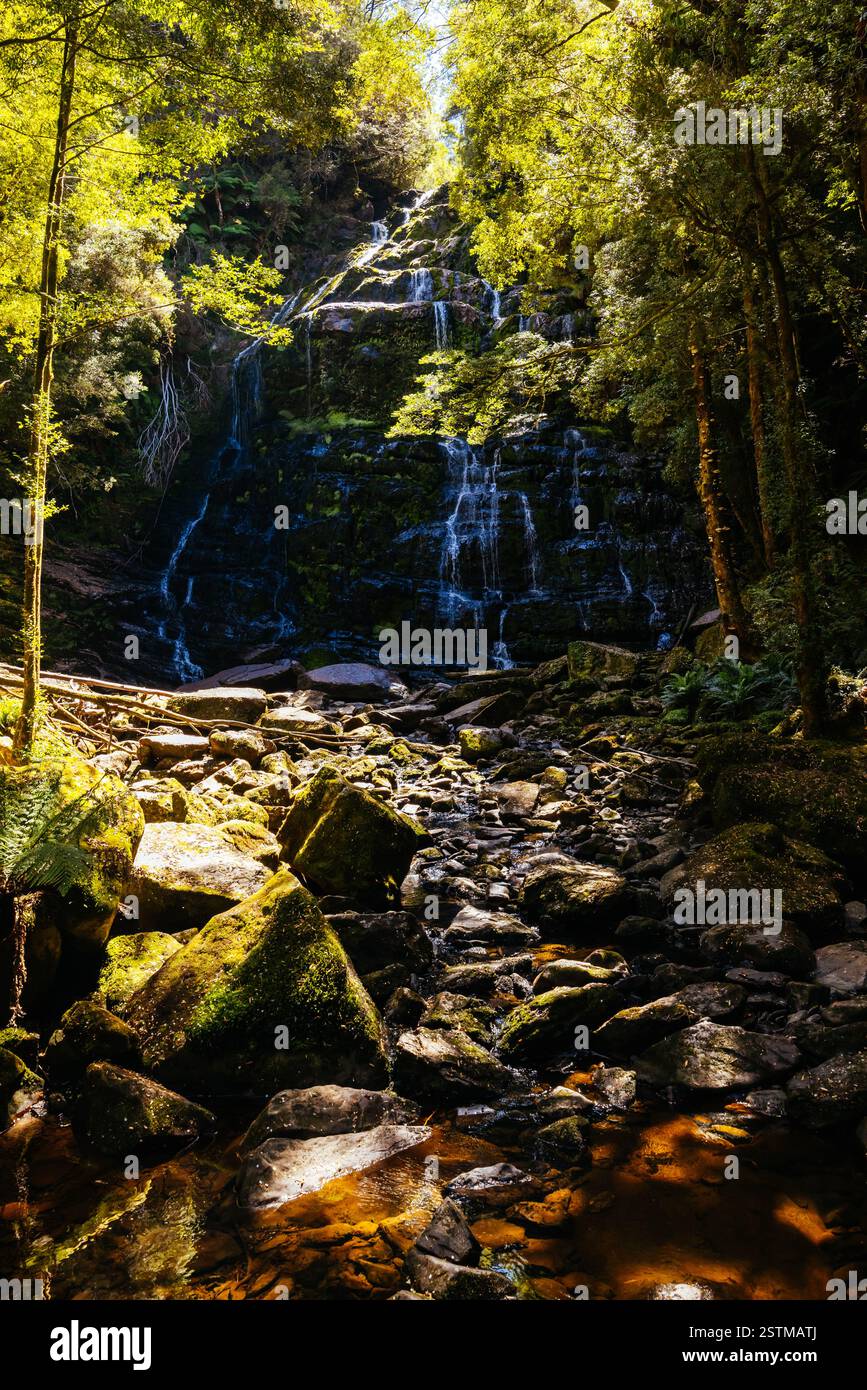 Nelson Falls in Franklin-Gordon Wild Rivers National Park Tasmania Australia Stock Photo - Alamy