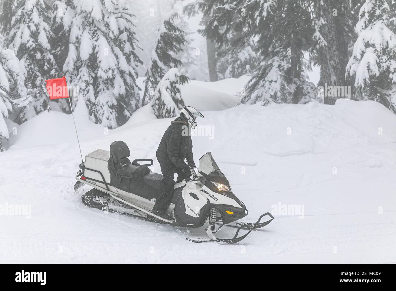 Snowmobiling adventure driving extreme sports tree hi-res stock ...