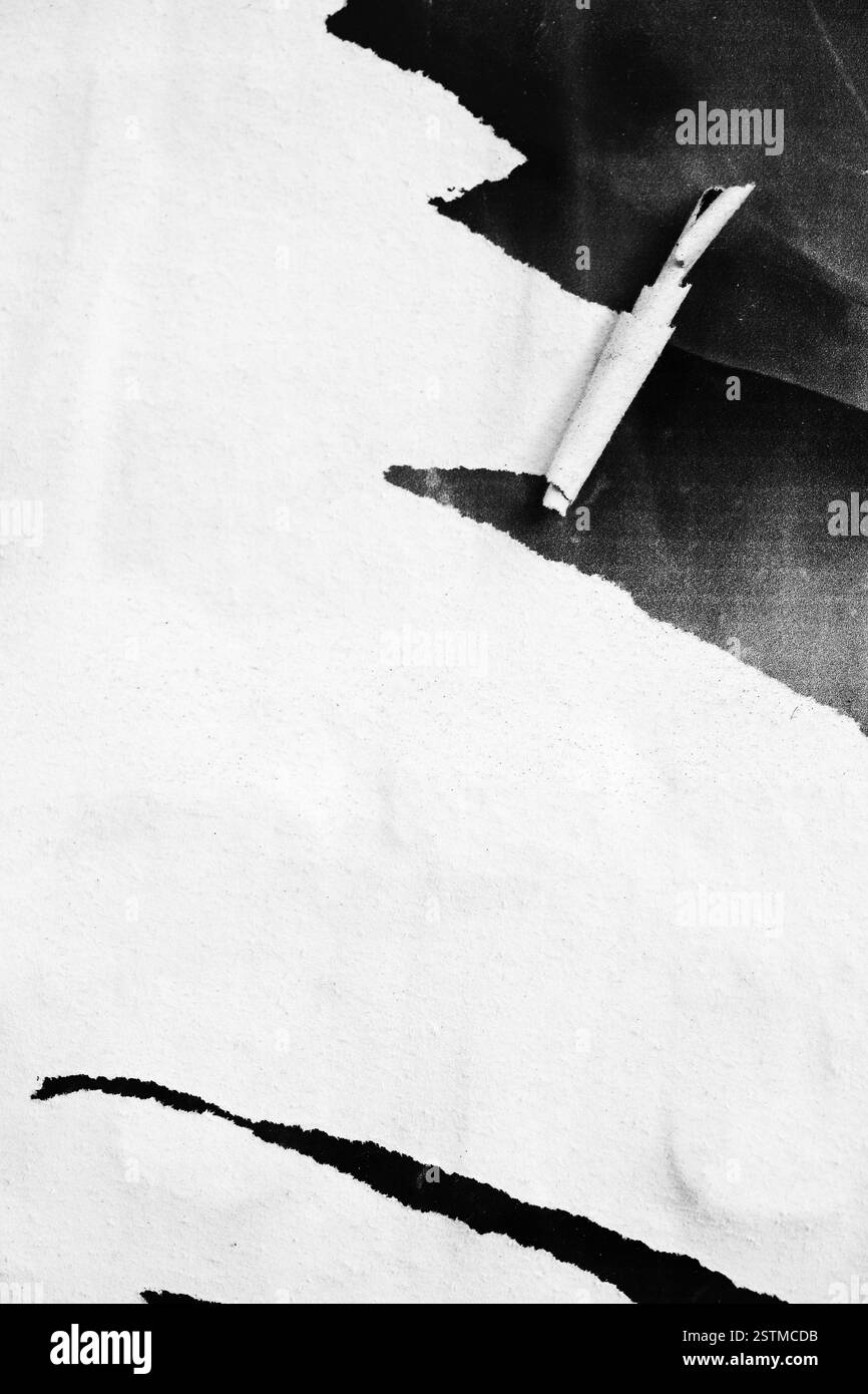 Old ripped torn blank black and white fly posters textures backgrounds ...