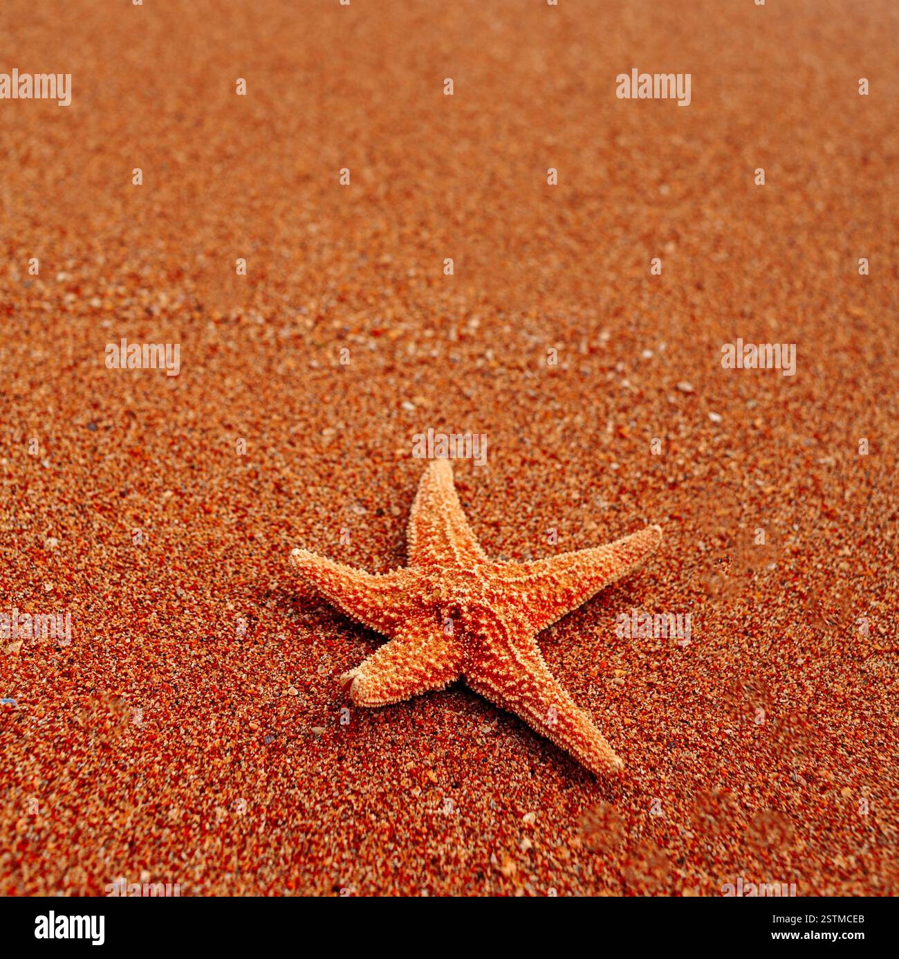 Faded film star hi-res stock photography and images - Alamy