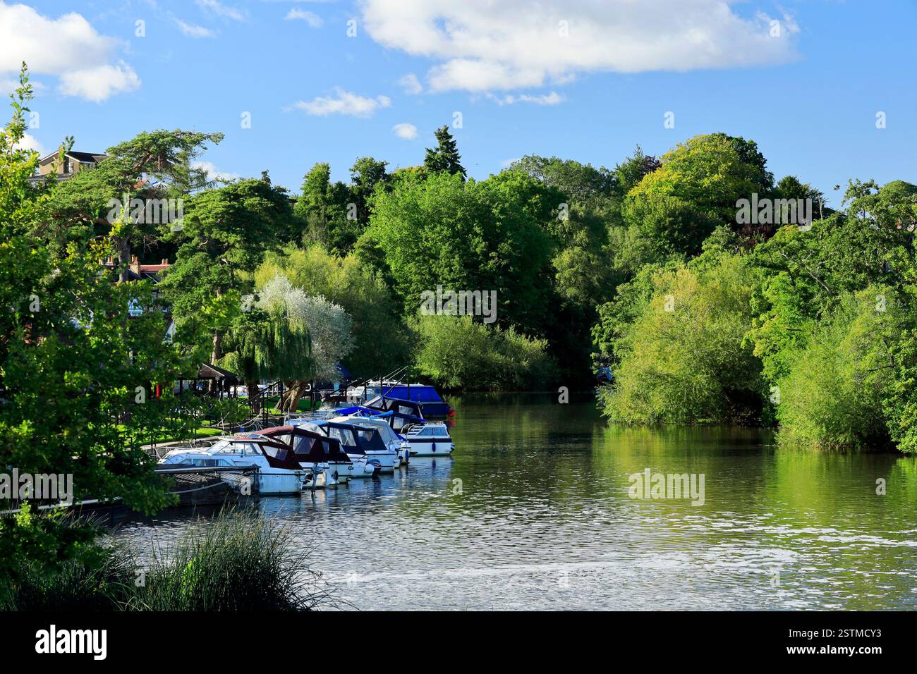 River Avon, Saltford Weir, Saltford near Bath, Somerset Stock Photo - Alamy