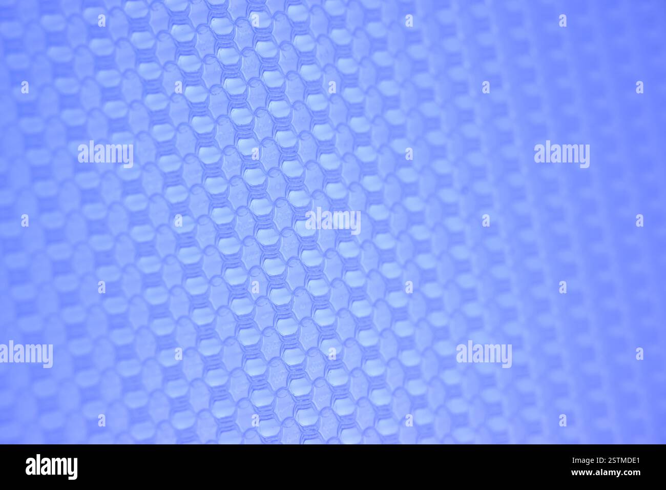 19 February 2025, Saxony-Anhalt, Halle (Saale): The structure of a ...