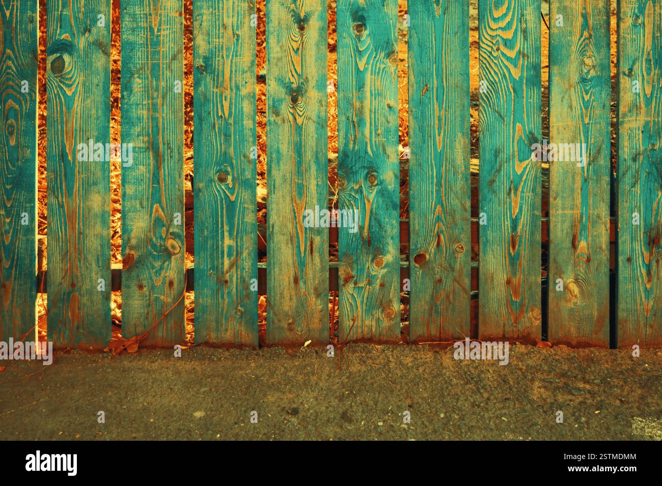 Old fence painted in teal color Stock Photo - Alamy