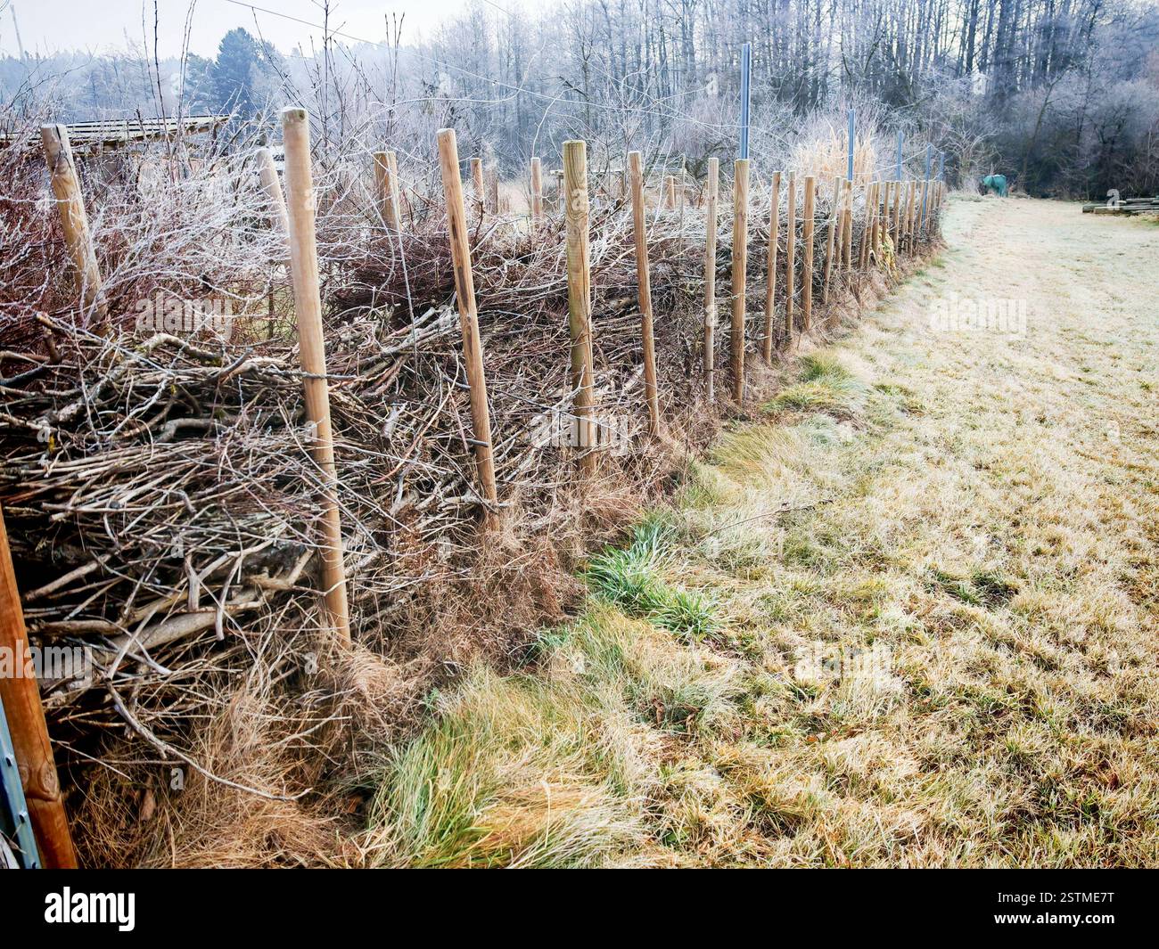 renaturation or ecological restoration by architecture in damaged or ...