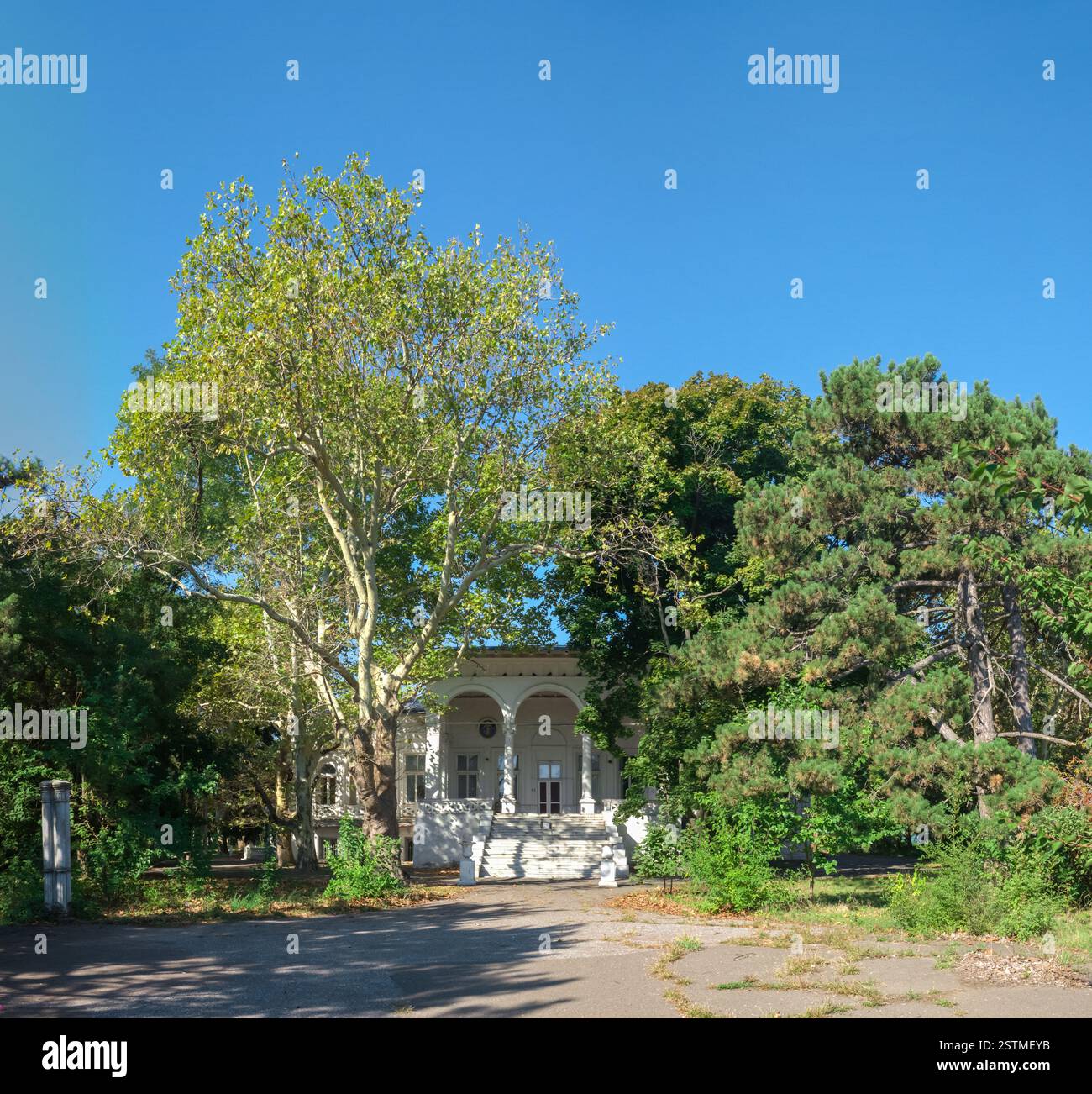 Sanatorium design hi-res stock photography and images - Alamy