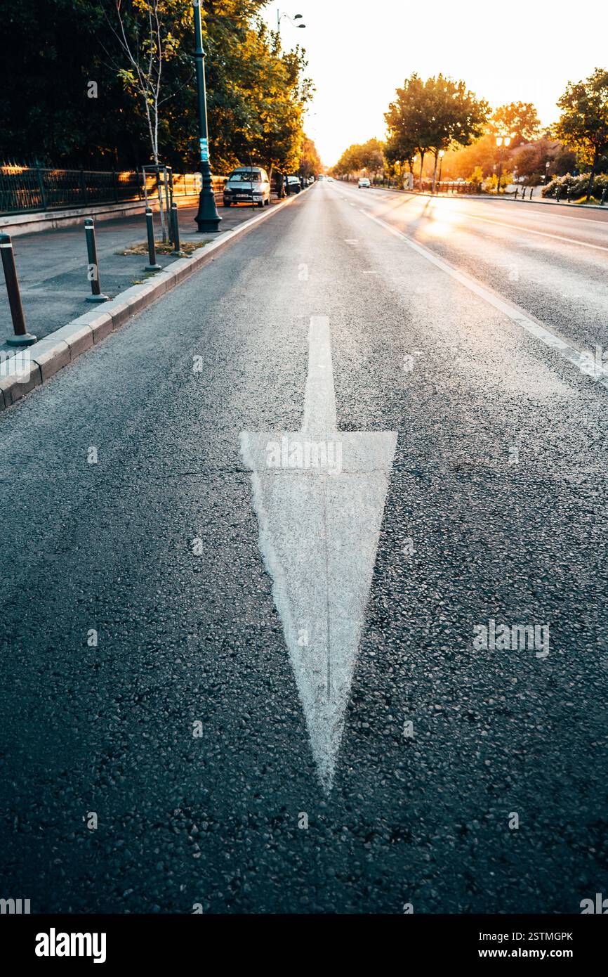 Arrow signs as road markings on a street Stock Photo - Alamy