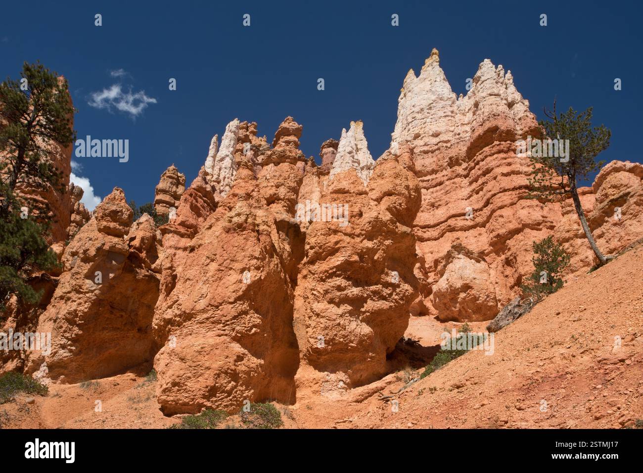 View from Navajo and Queens Garden Trails Stock Photo - Alamy