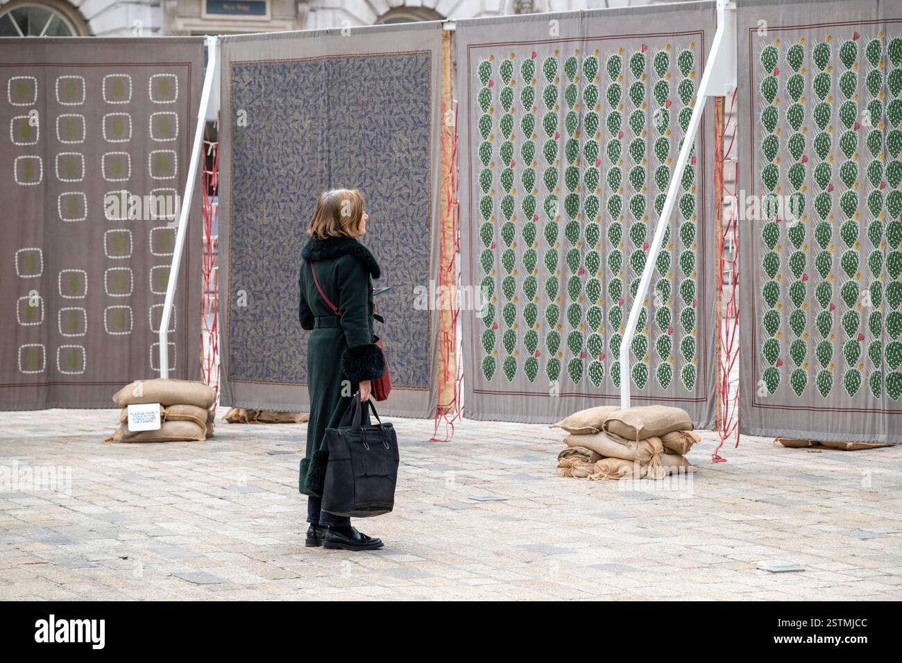 London, UK. 19 February 2025. ‘Salt Cosmologies’ by contemporary artists Hylozolic/Desires is ...