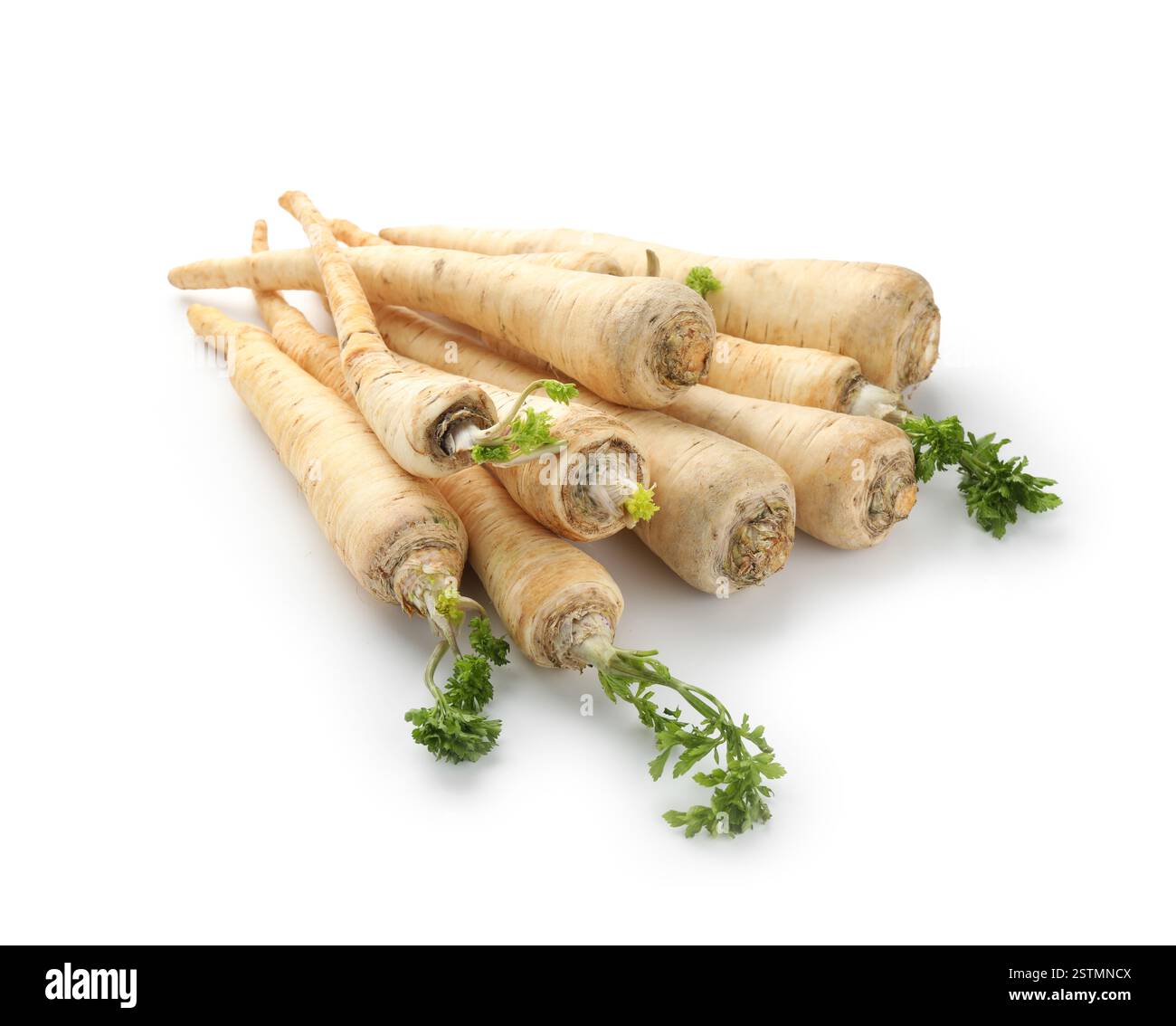 Many fresh parsley roots isolated on white Stock Photo - Alamy