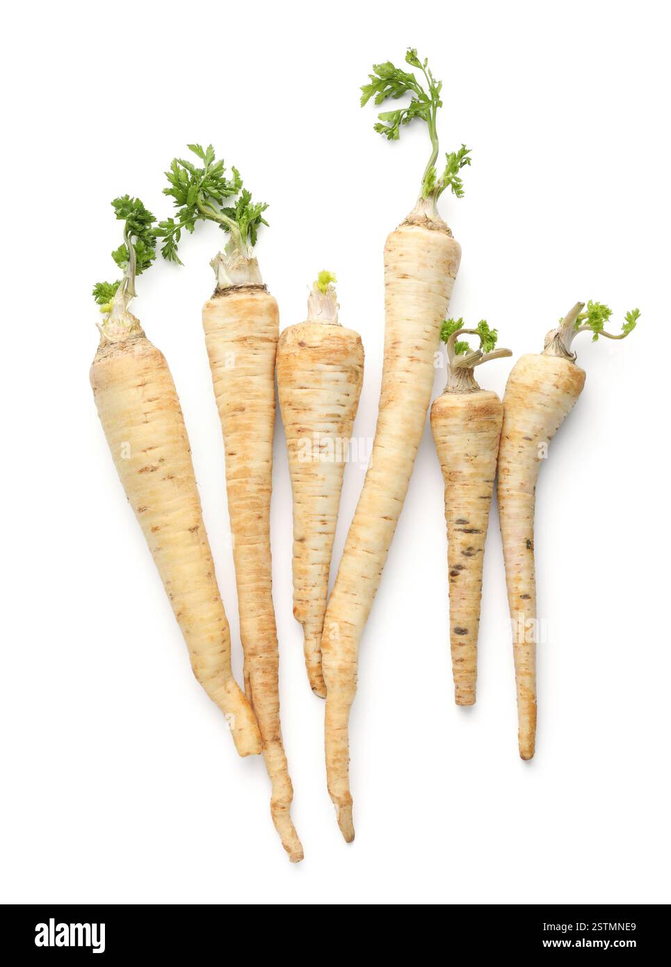 Many fresh parsley roots isolated on white, top view Stock Photo - Alamy