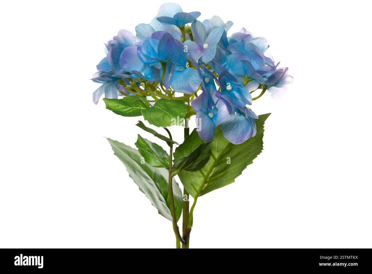 This stunning artificial blue hydrangea features lifelike petals and ...