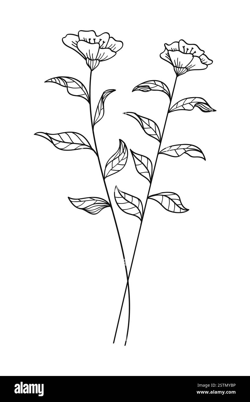 Tree branch botanical line art nature element drawing.Vector ...