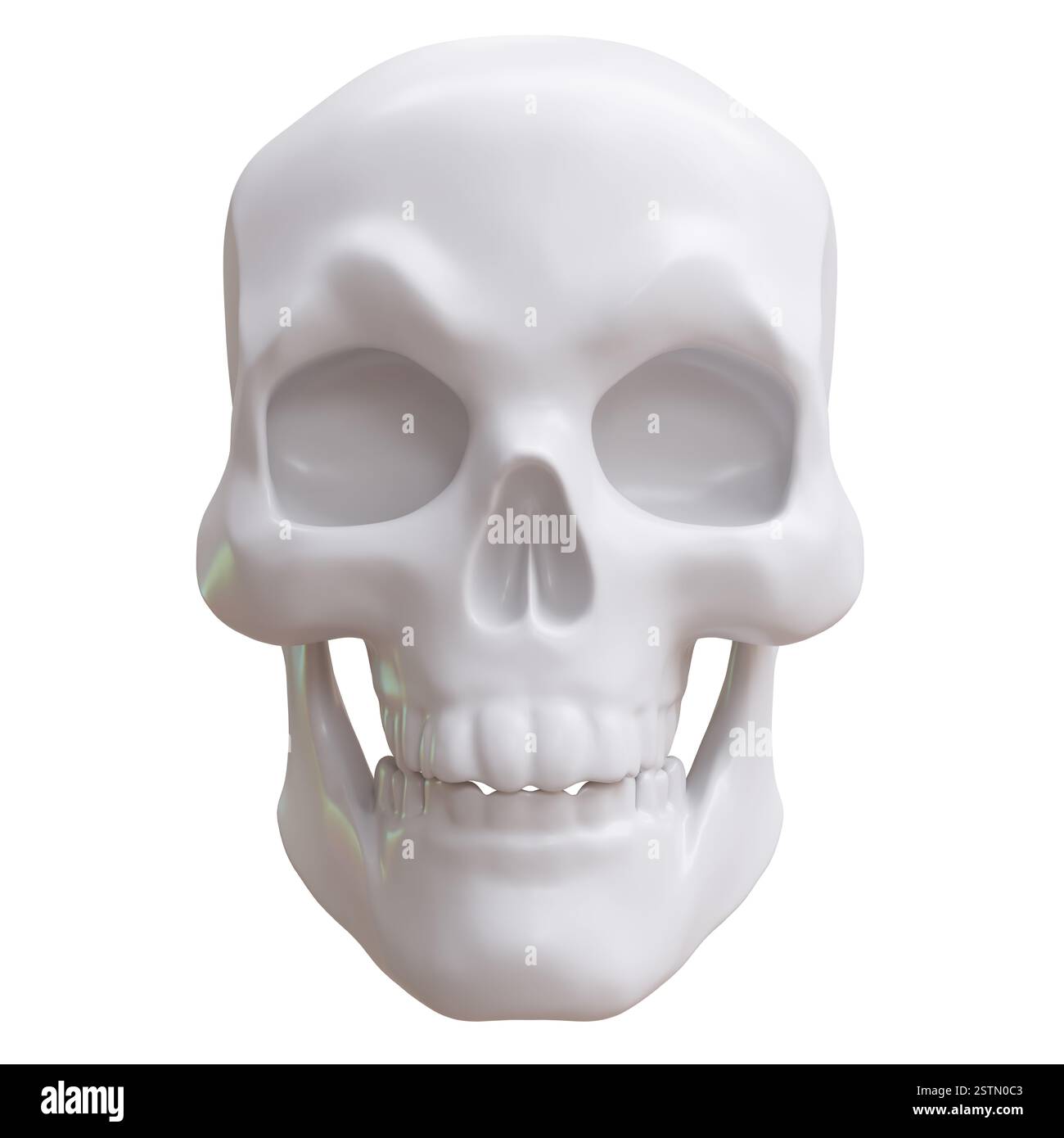 Human skull isolated on white, transparent. Sugar skull, day of the ...