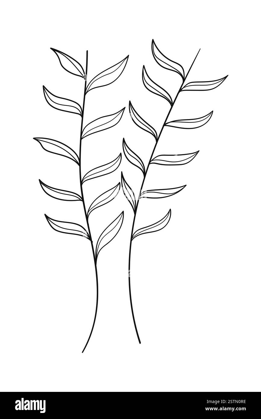 Cute branch with flowers and leaves isolated on white background ...