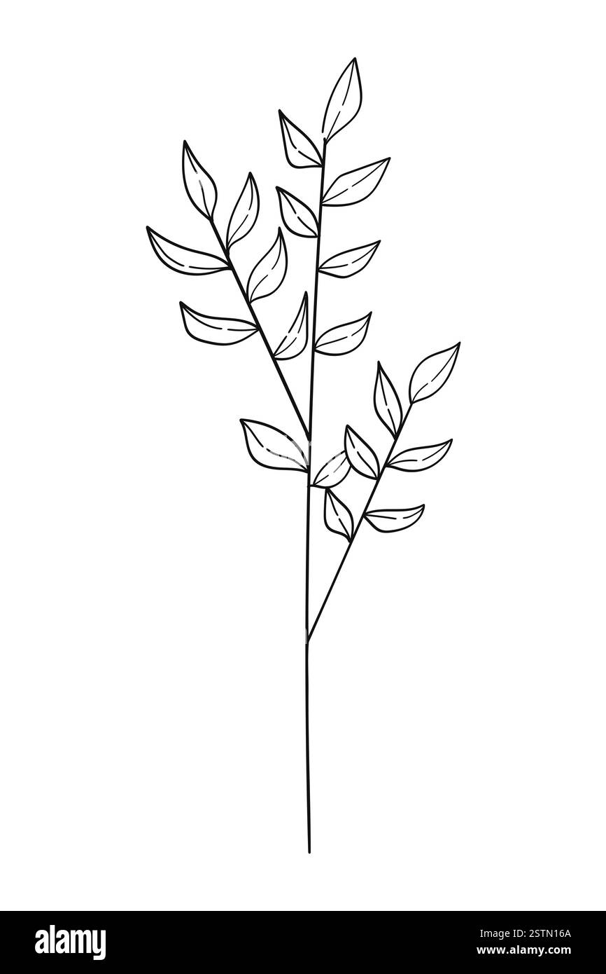 Cute branch with flowers and leaves isolated on white background ...