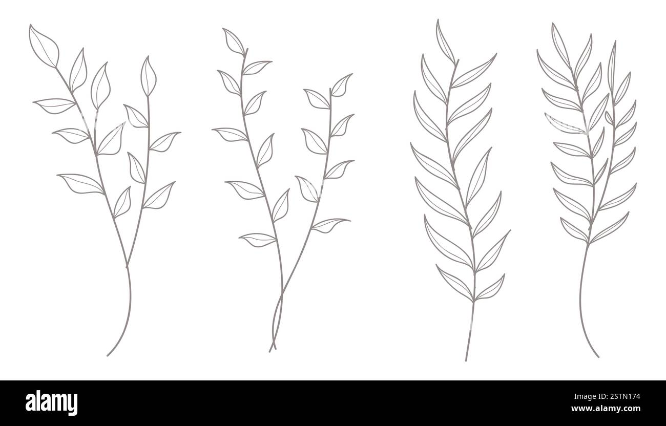 Hand-drawing botanical leaves line collection. Vector illustration ...