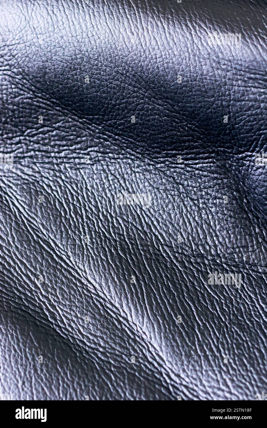 A comprehensive and detailed look at the intricate texture of dark ...