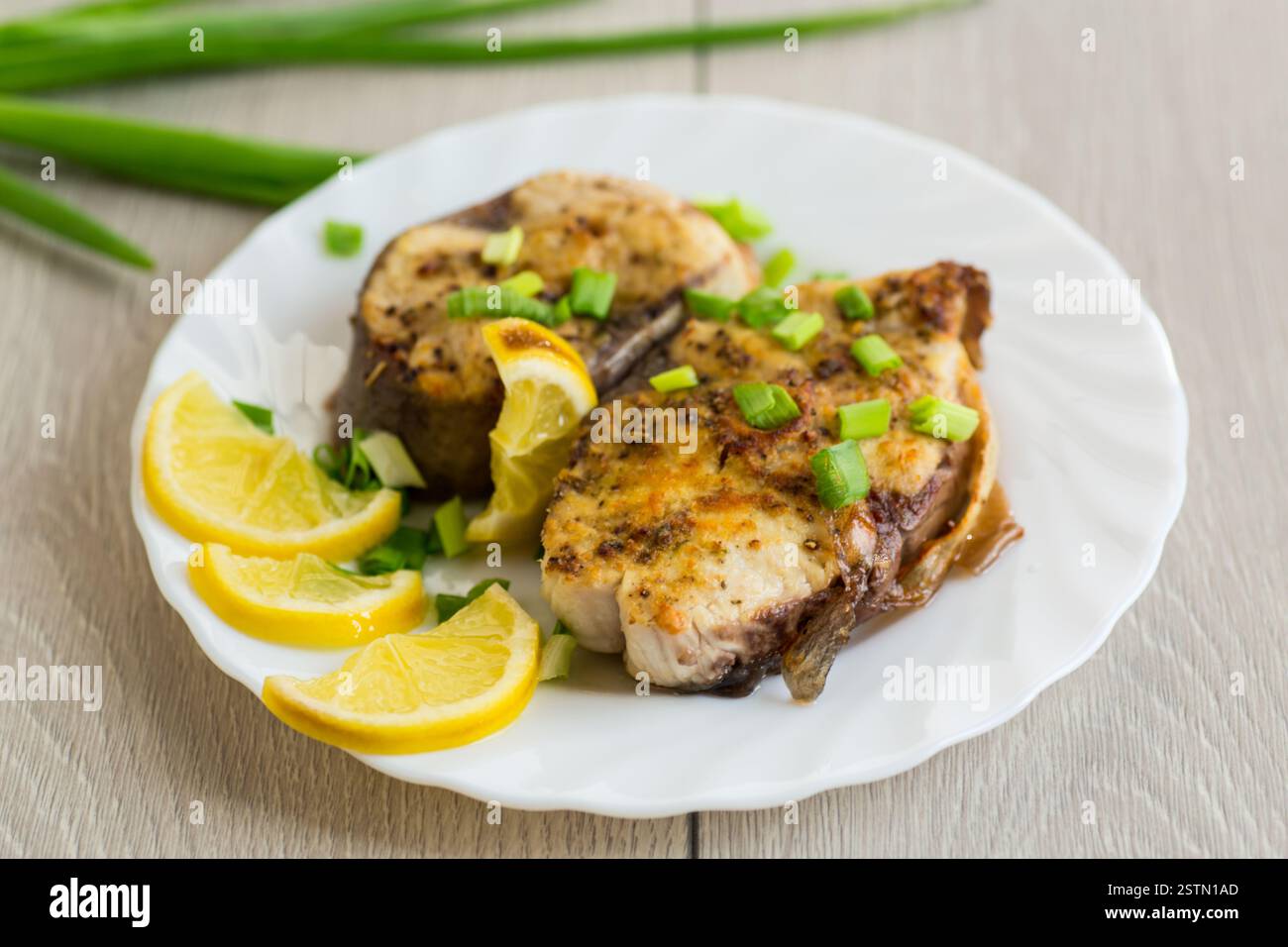 Aesthetics fish hi-res stock photography and images - Alamy