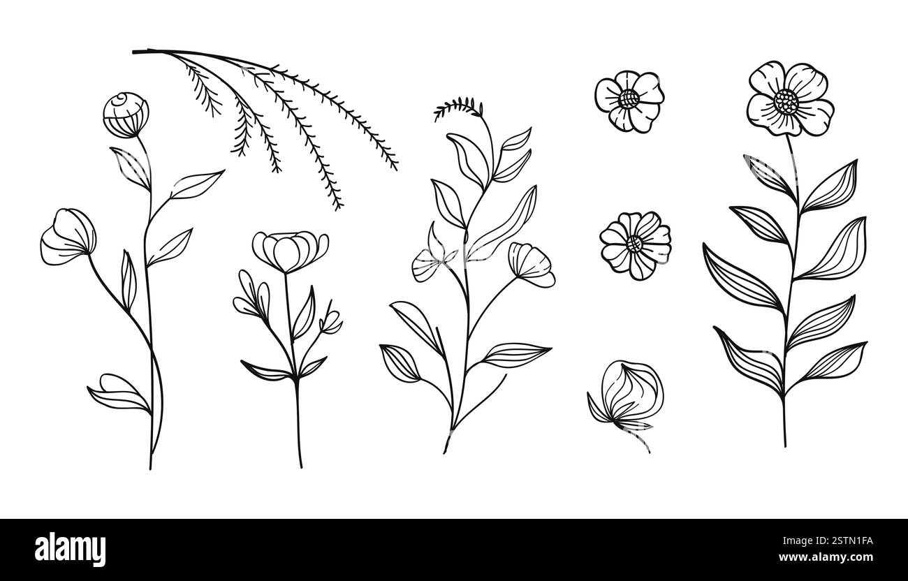 A collection of hand-drawn botanical line art featuring flowers, leaves ...