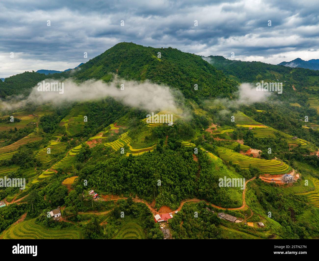 Aerial drone view of rice terrace field in the mist, northern of ...