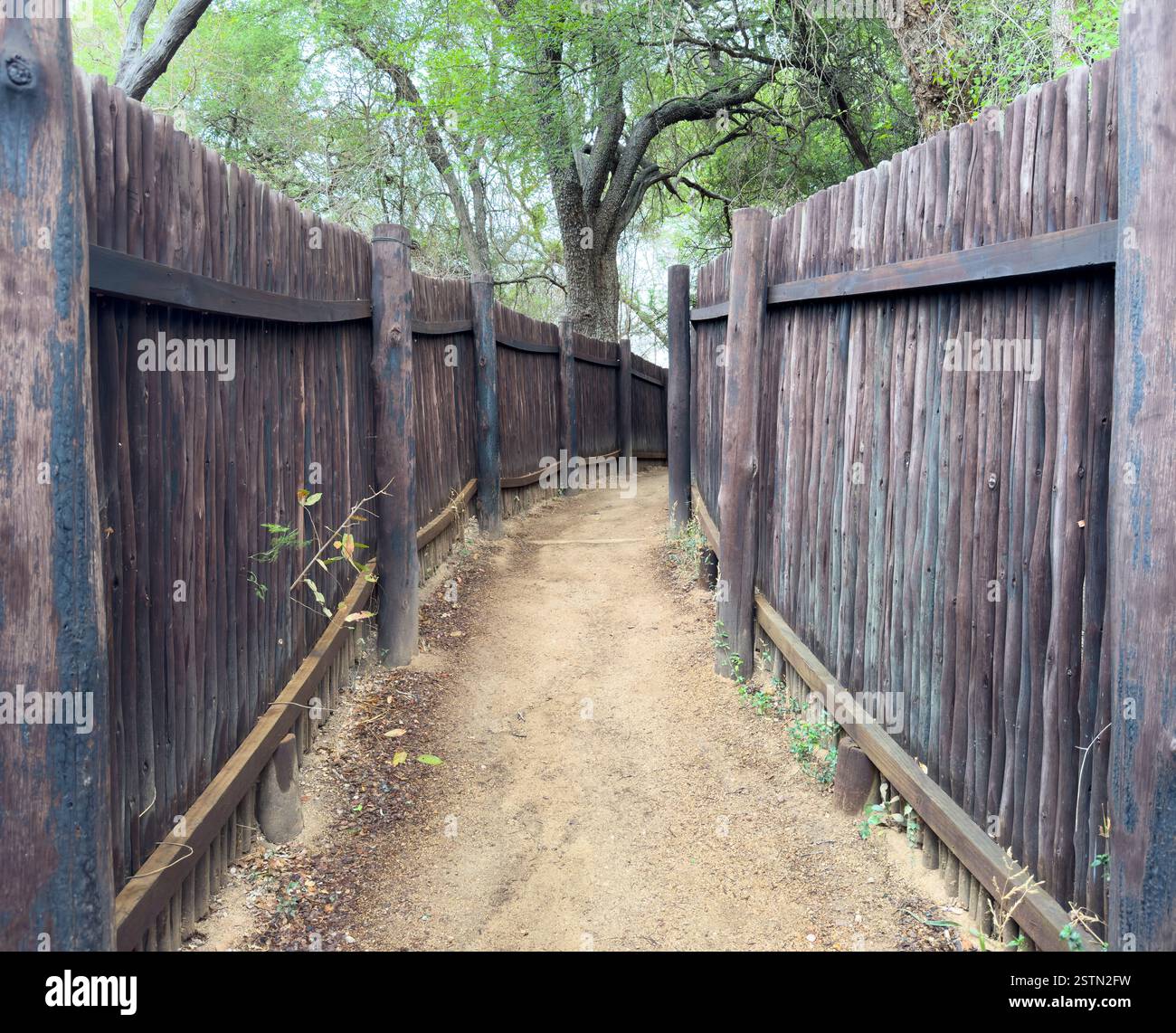 South Africa wildlife reserve. Dirt pathway protected by tall wooden ...