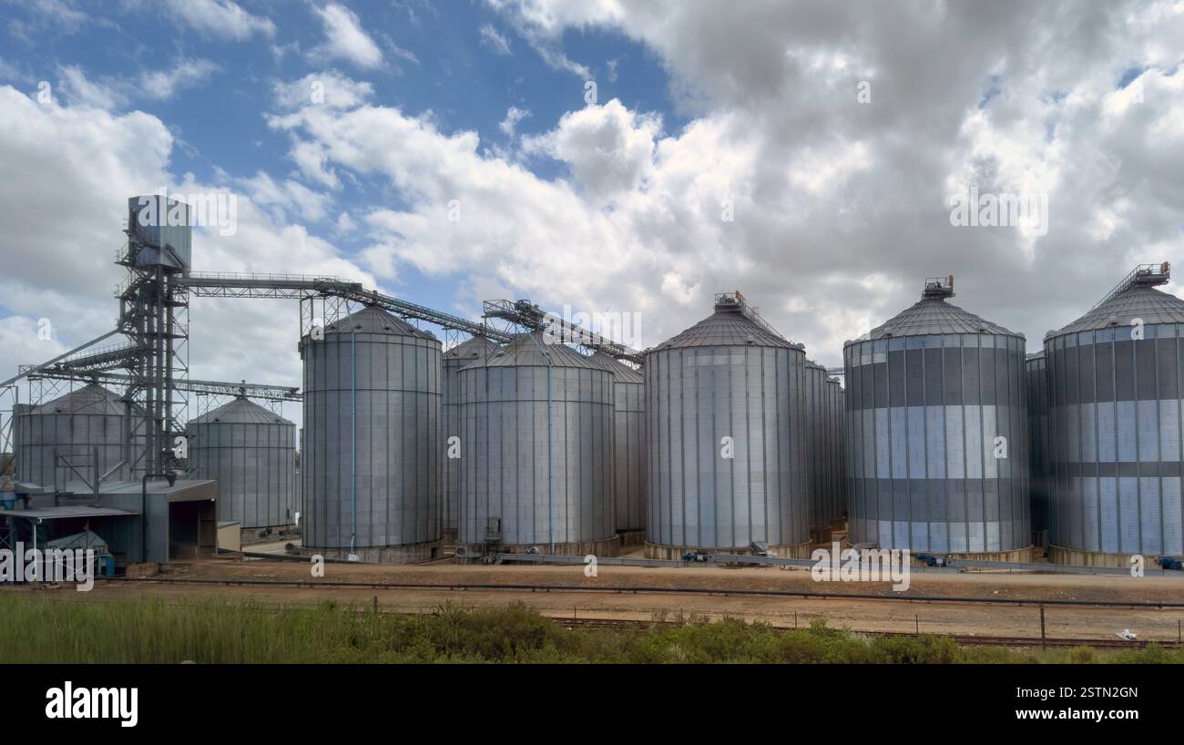 Large metal silos for bulk grain storage. Agricultural facility in ...