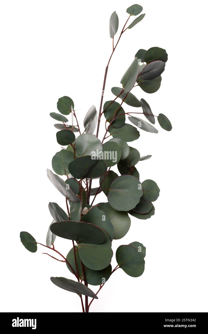 Silicone and latex artificial plant with green leaves for home decor ...