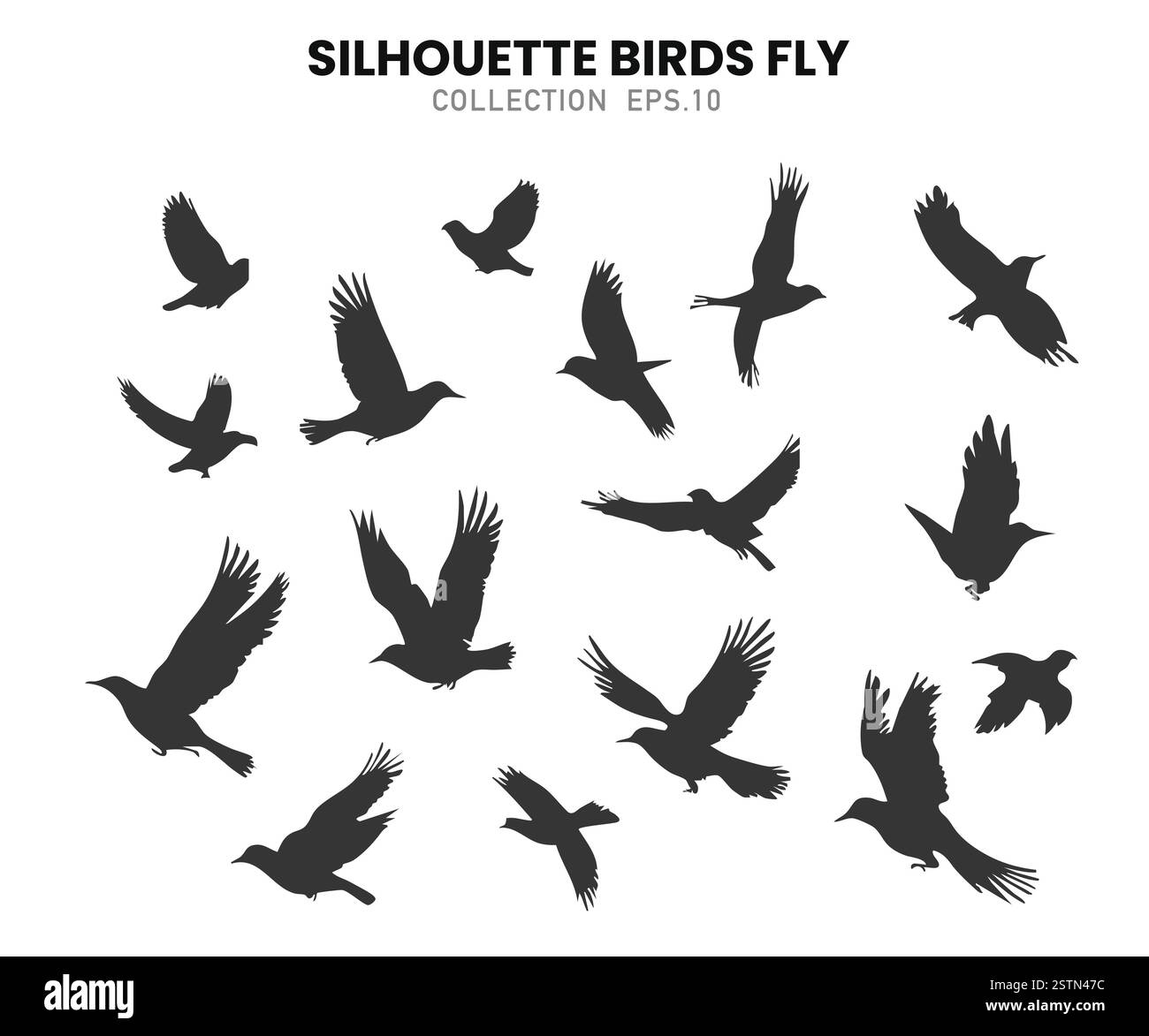 Silhouette crowd birds flay collection.Abstract vector illustration ...