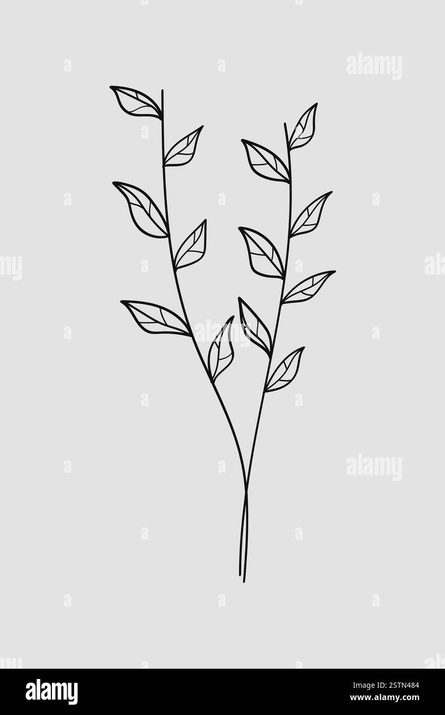 Hand-Drawing Twigs with Leaves in a Botanical Style.Vector illustration ...