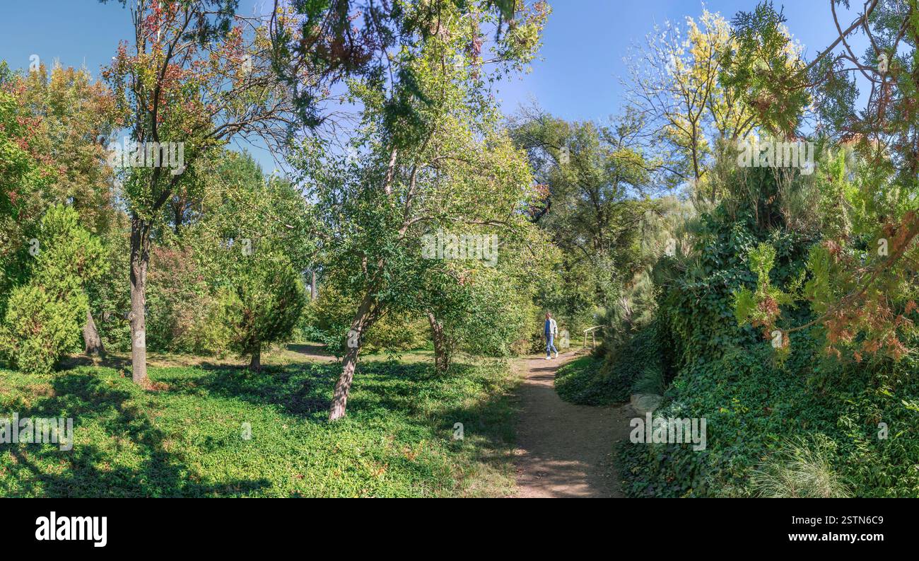 Old botanical garden in hi-res stock photography and images - Alamy