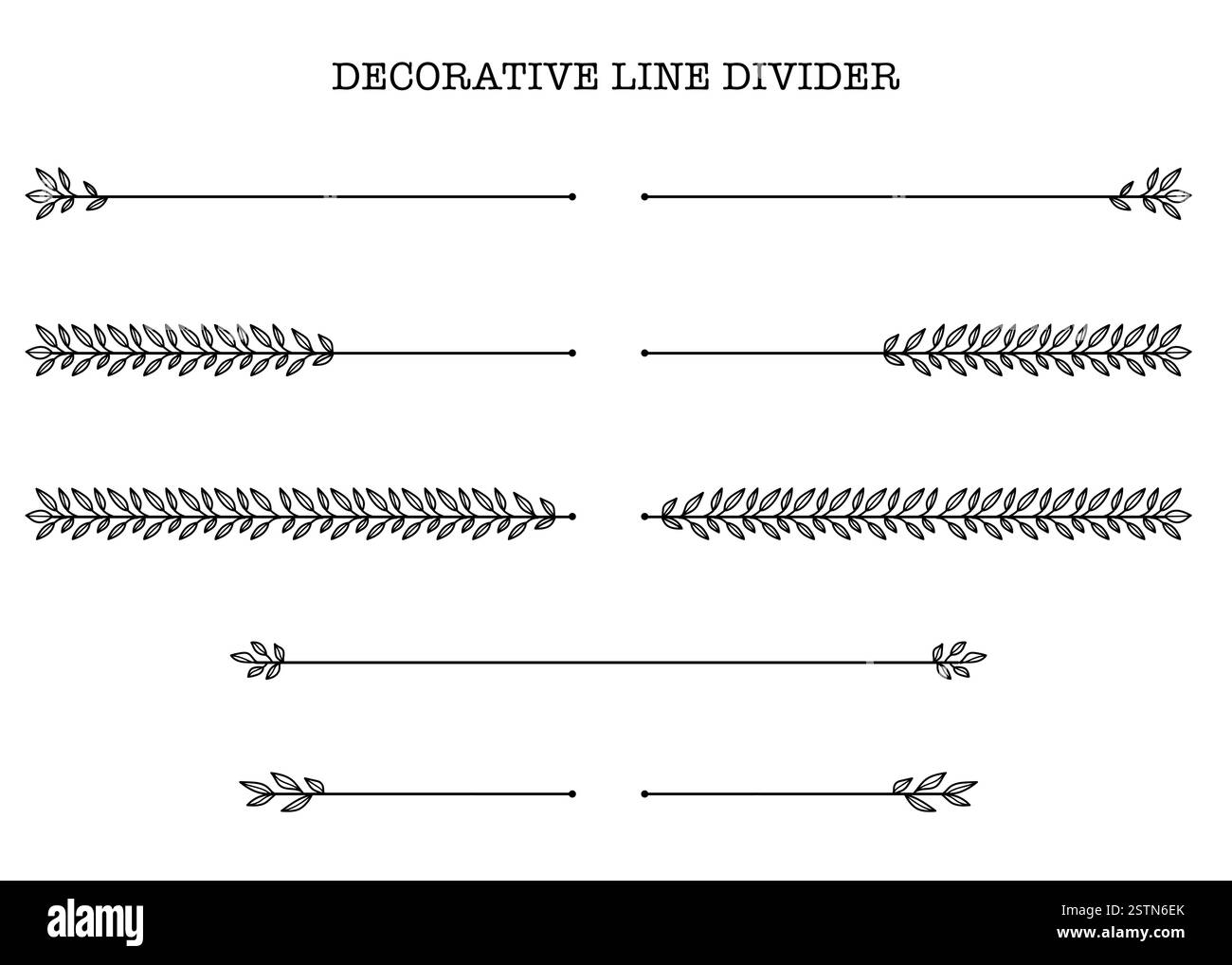 Hand - drawn nature floral vine line divider for text layout separator ...