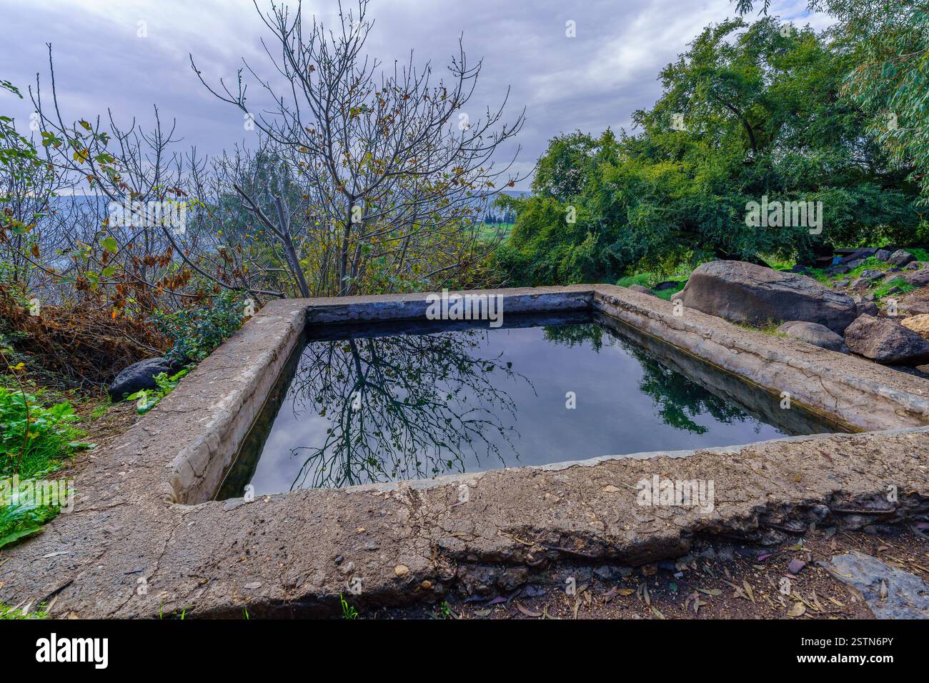 View of the pool of Ein Aya Spring, in the Golan Heights, Northern ...