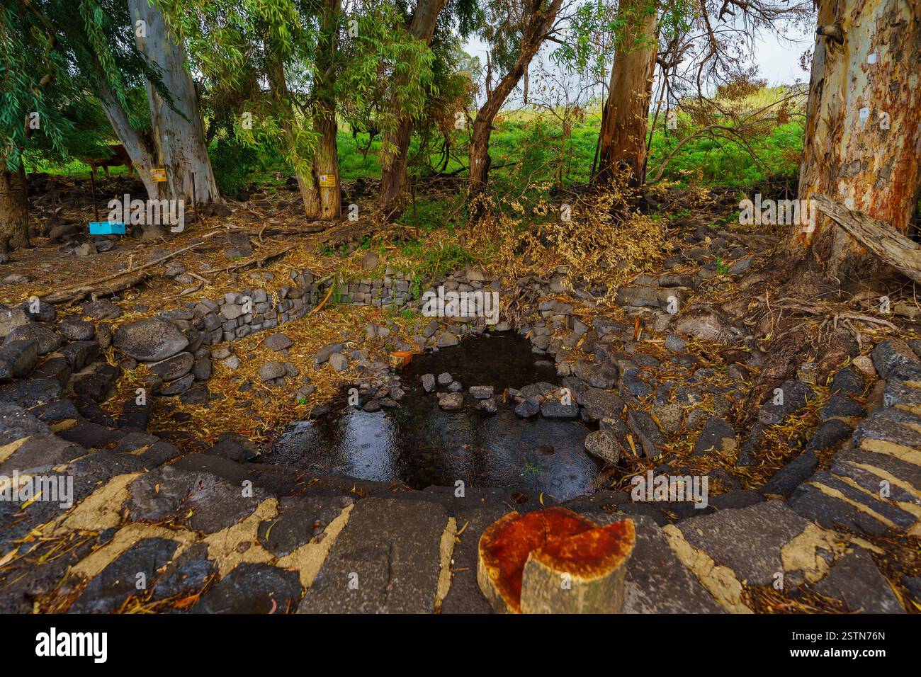 View of the pool of Ein Amphi Spring, with mine warning sign, in the ...