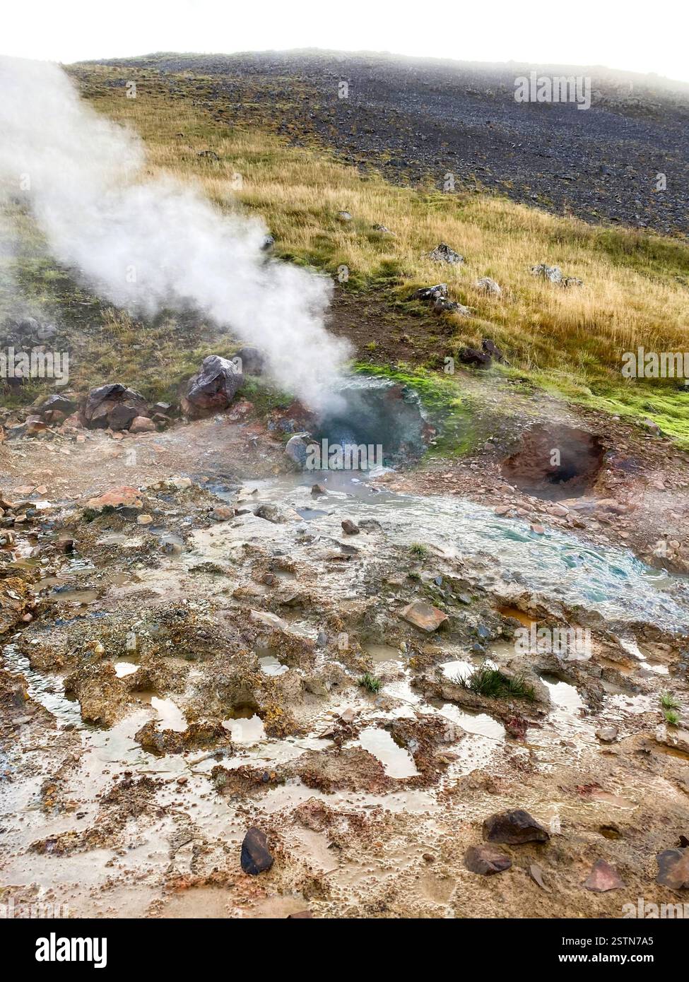 This captivating stock photo captures a geothermal landscape featuring ...