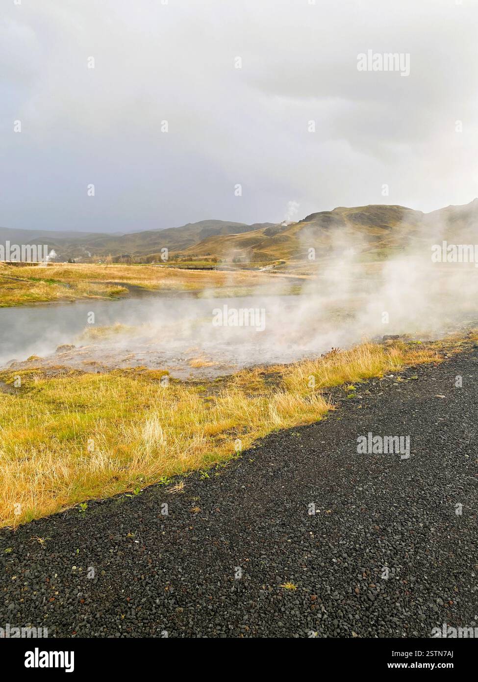 The image depicts a serene yet dynamic landscape characterized by ...