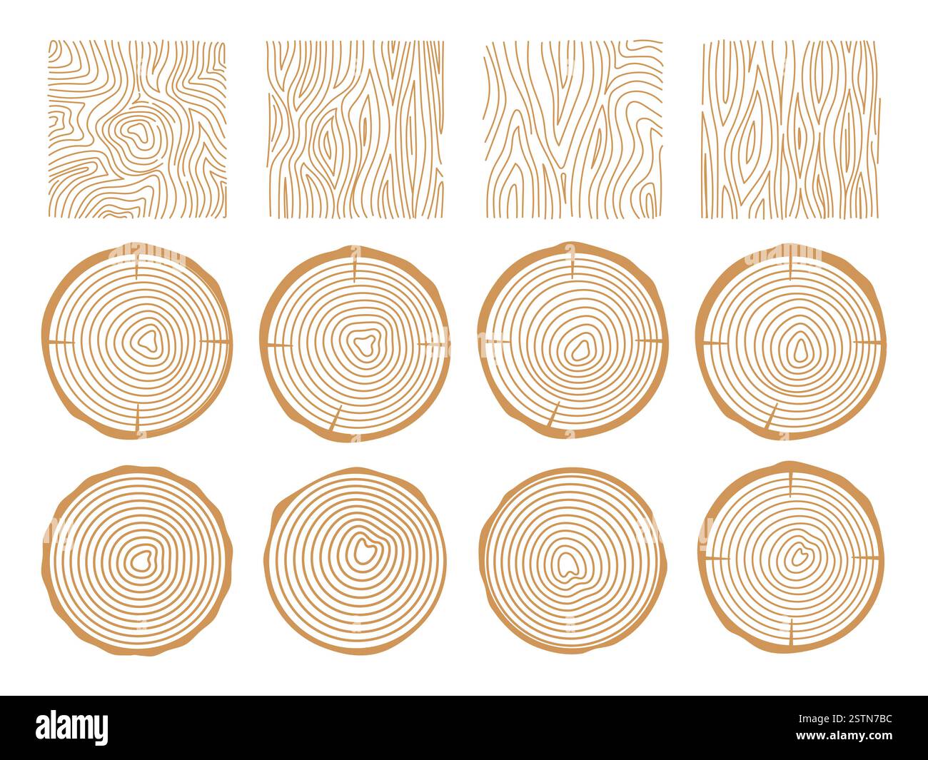 Tree rings. Wood texture . Abstract circle tree background.Vector ...