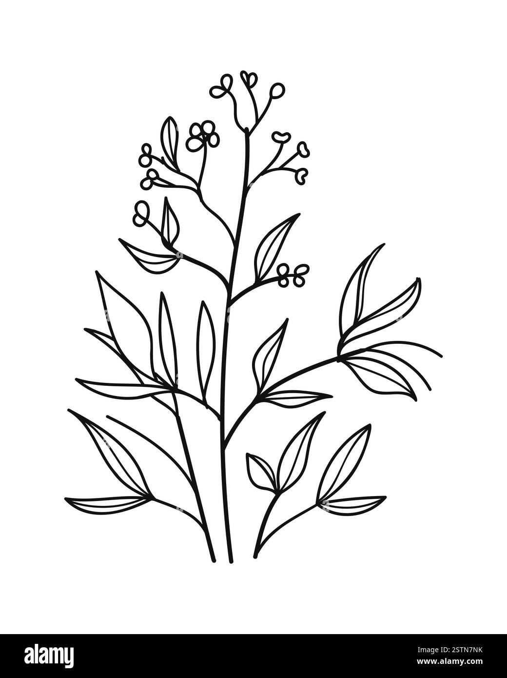Hand-Drawing Twigs with Leaves in a Botanical Style.Vector illustration ...