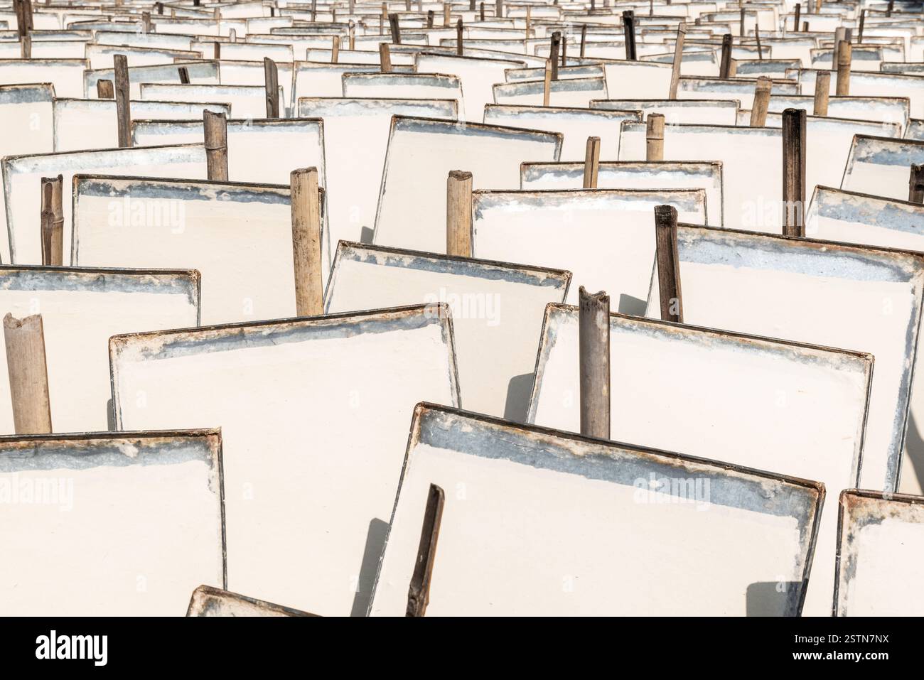 Traditional Nepalese handmade lokta paper sheets drying in the sun, in ...
