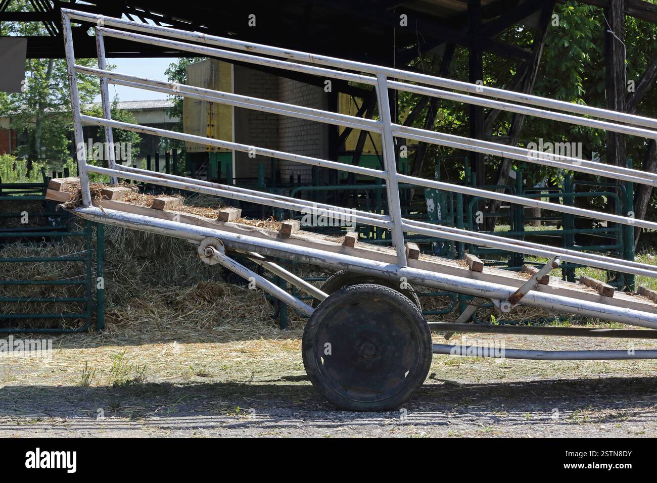 Livestock cattle loader ramp at farm hi-res stock photography and ...